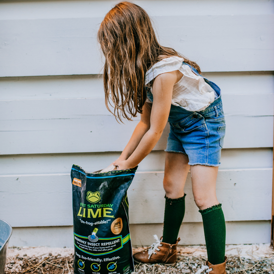 First Saturday Lime Insect Repellent - 5 pound bag - My Pet Chicken