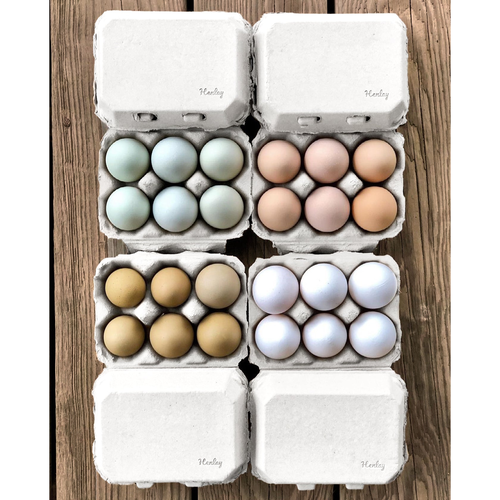 Half Dozen Egg Cartons - Henlay Blank Flat Top, Six Pack, 2 colors, 20 ...