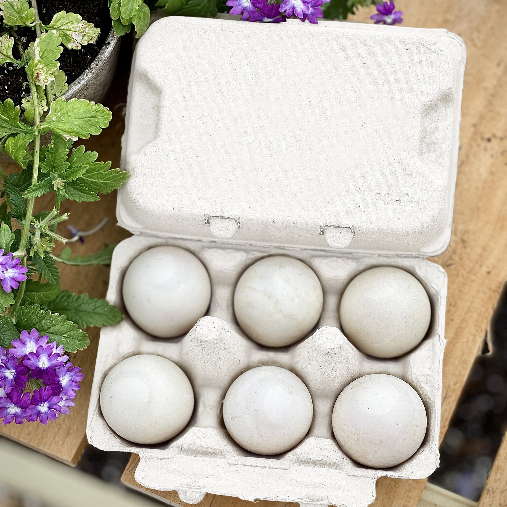 Henlay Duck Egg Cartons - Holds Half Dozen Jumbo Eggs- Blank Flat Top ...