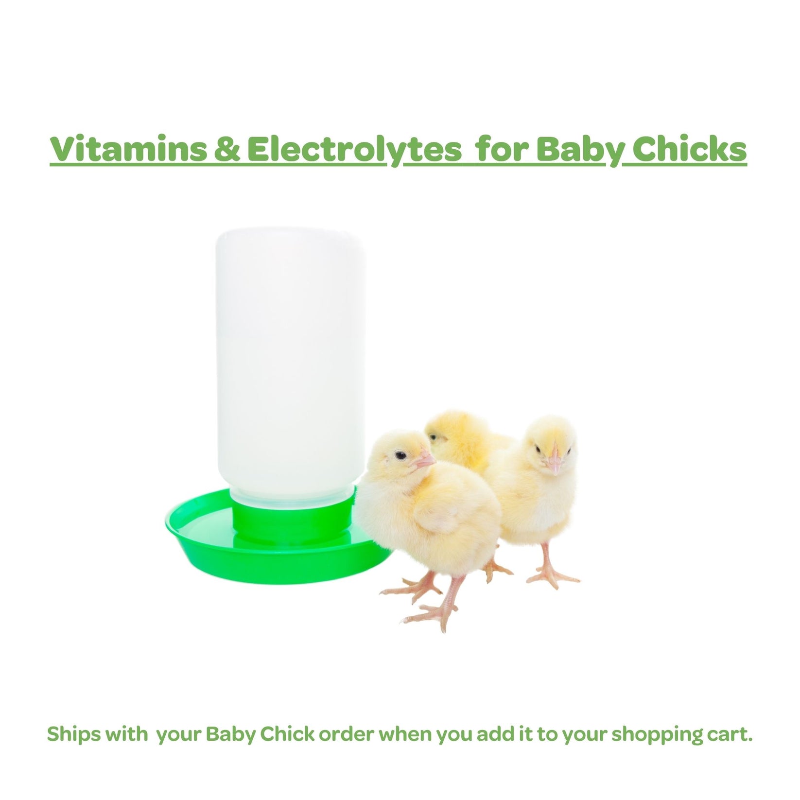 BVS Vitamins and Electrolytes, 4 oz Concentrate: Chick Order Add On ...