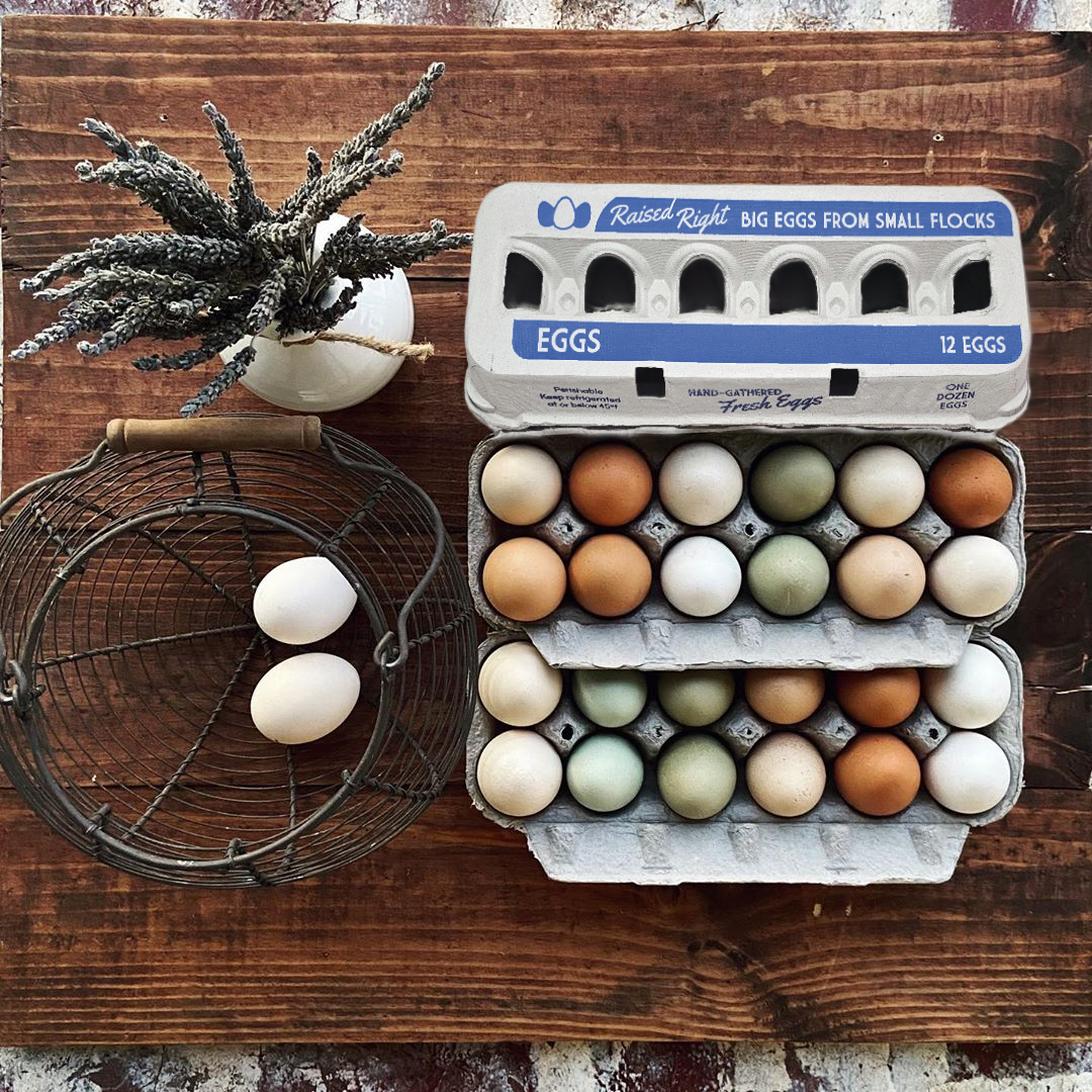 Henlay Jumbo Egg Cartons for 12 Farm Fresh Eggs – Durable & Reusable E ...