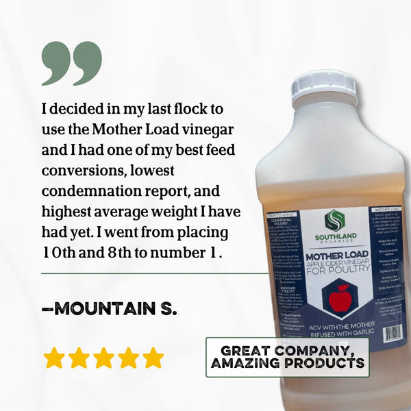 Mother Load | Apple Cider Vinegar for Chickens - My Pet Chicken