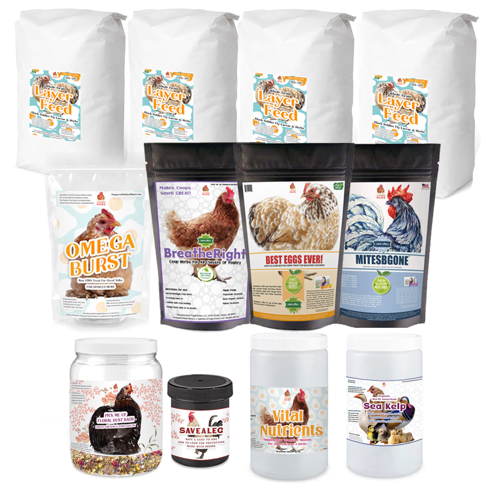 Healthy Chickens: The Ultimate Bundle That Makes Raising Healthy Layer ...