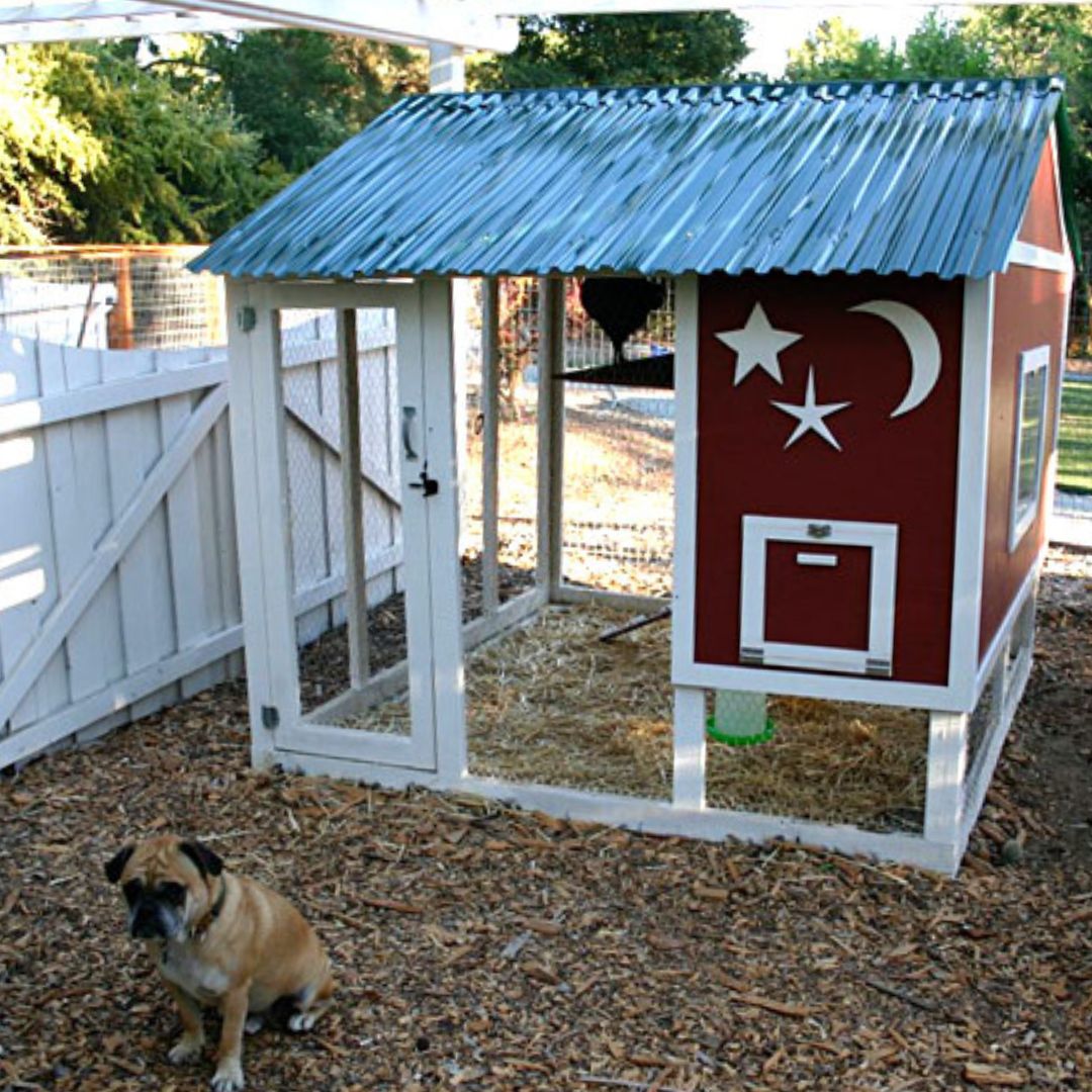 Mini Poultry House Design Chicken Tractor Wikipedia
