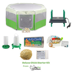 Marans Chicken Breed: The Ultimate Guide - My Pet Chicken