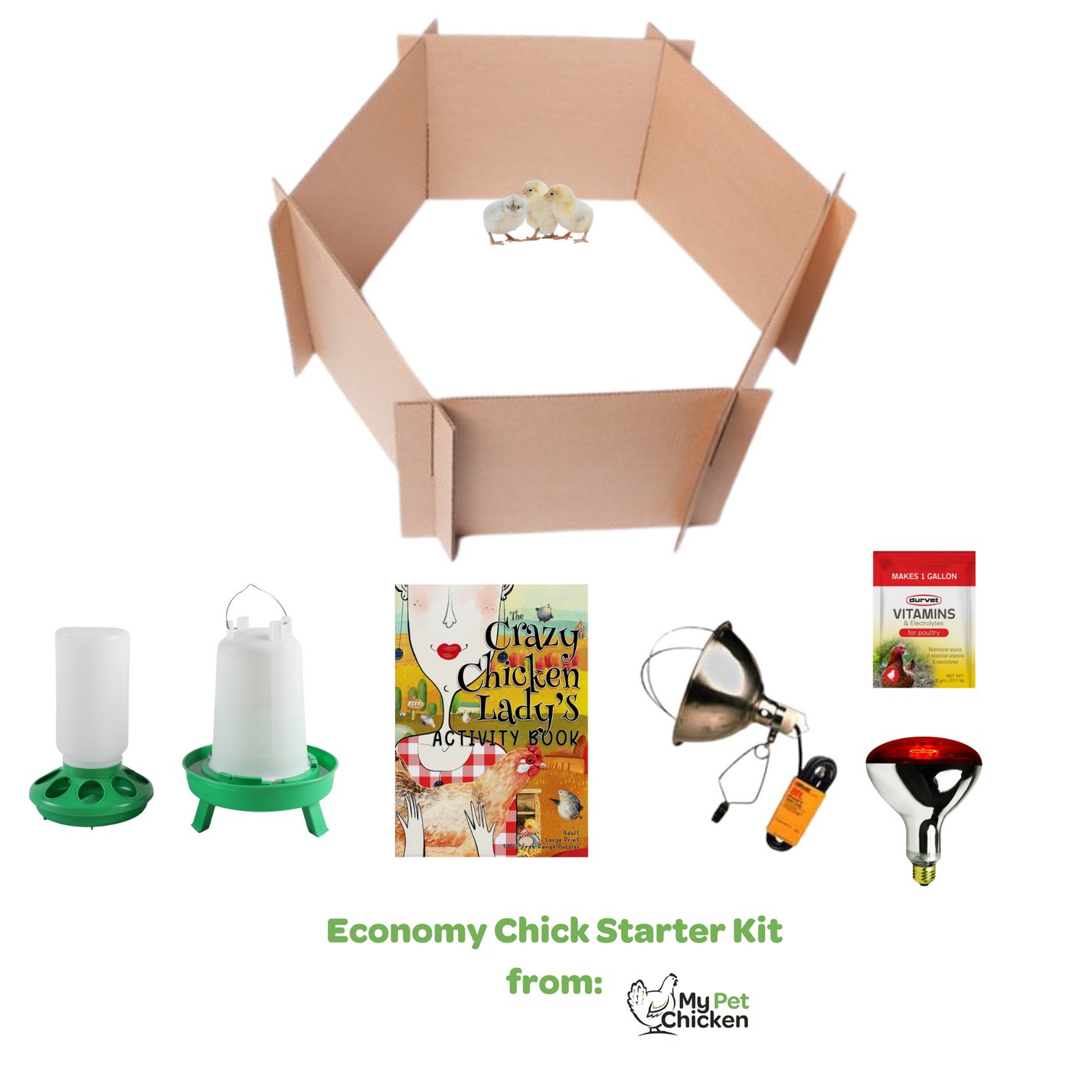 Economy Chick Starter Kit - My Pet Chicken