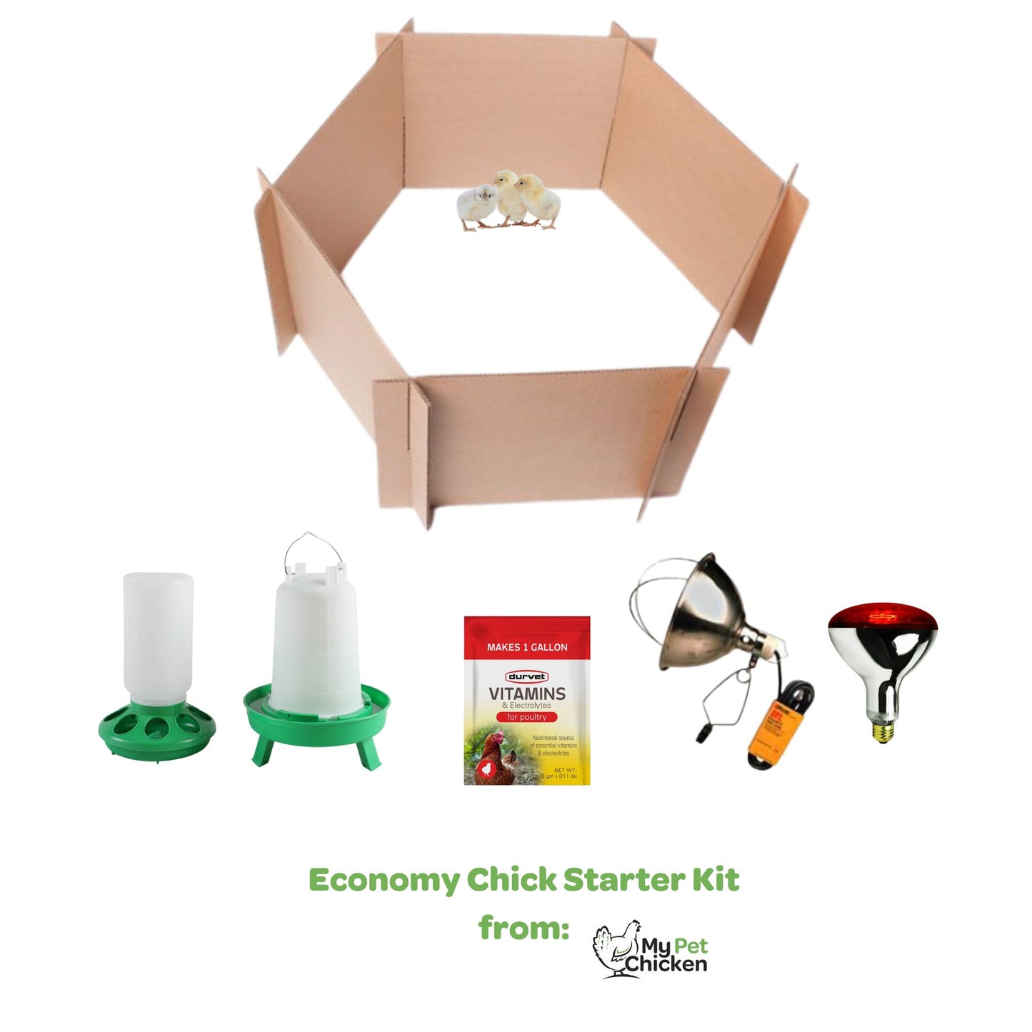 Economy Chick Starter Kit - My Pet Chicken