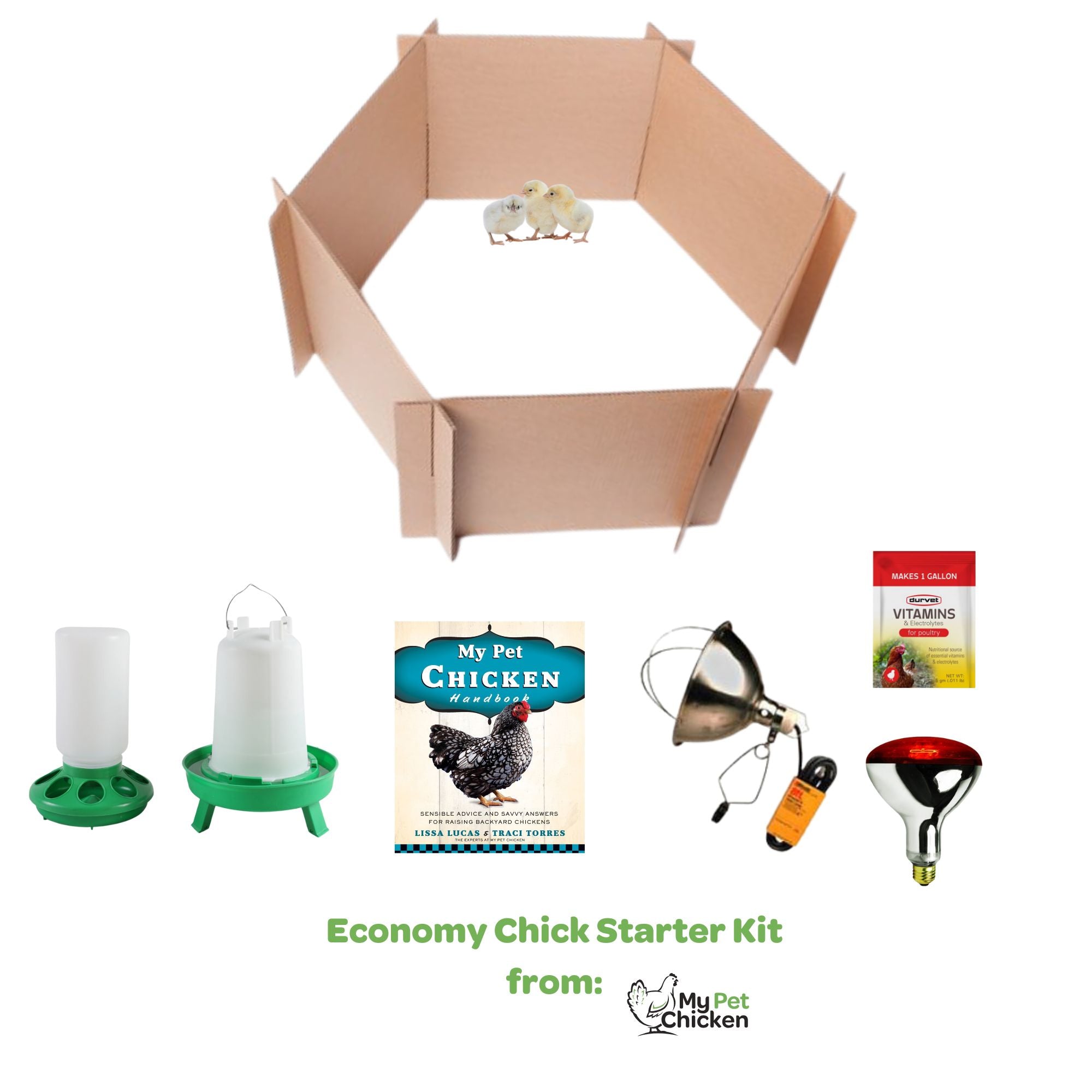 Economy Chick Starter Kit - My Pet Chicken