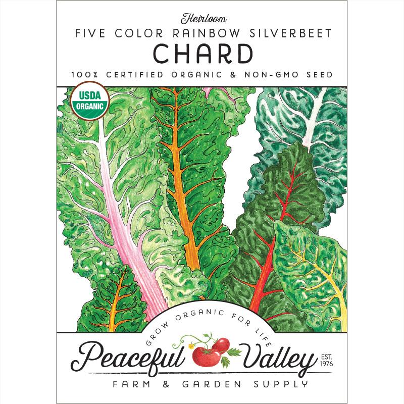 Five Color Silverbeet Chard Seeds (Organic) - My Pet Chicken