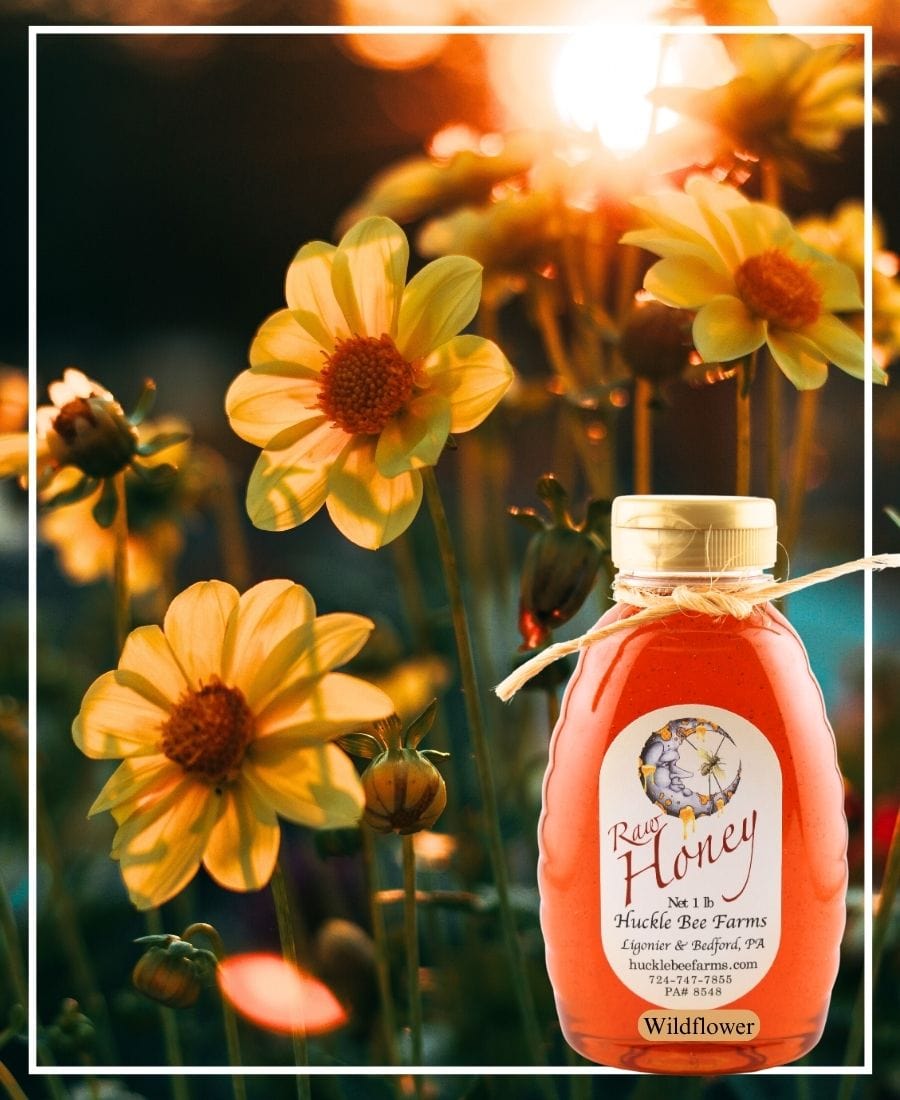 Raw Wildflower Honey - My Pet Chicken