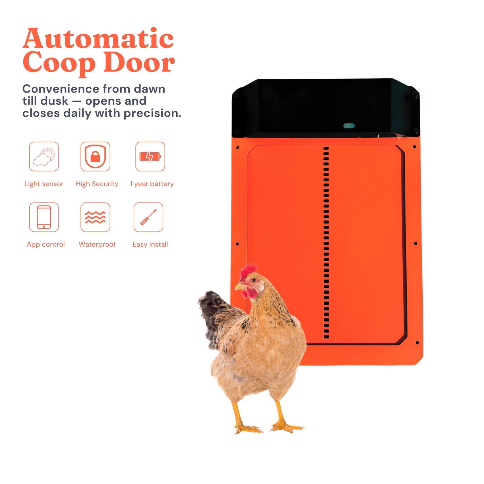 Smart Coop Kit - My Pet Chicken