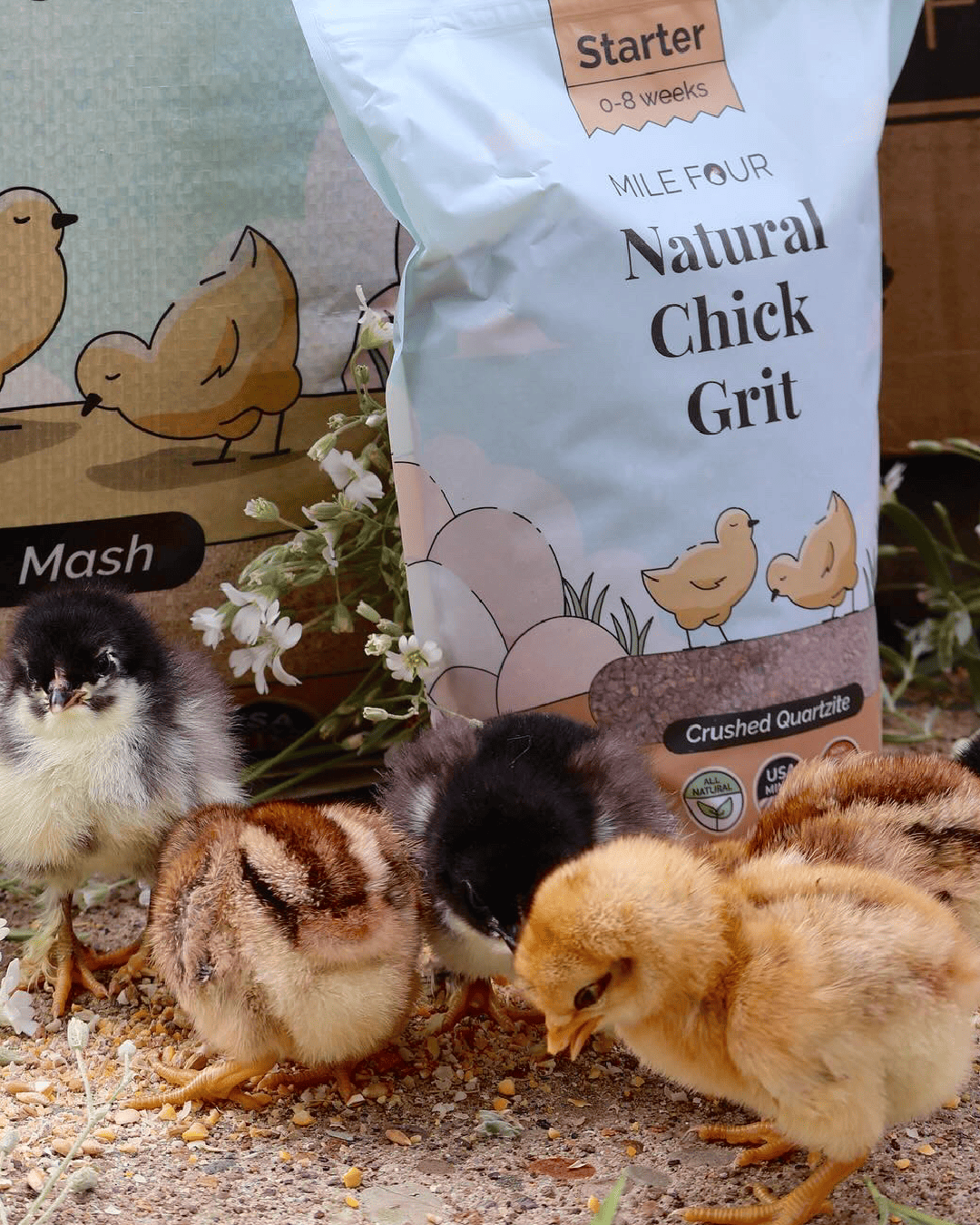 Mile Four Chicken Grit - My Pet Chicken
