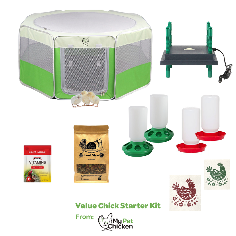 Value Chick Starter Kit - My Pet Chicken