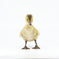 Ducklings: Golden 300 Hybrid Layer Duck - My Pet Chicken
