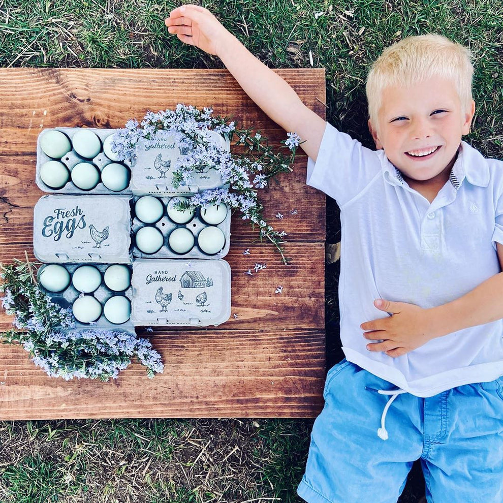 Split-Apart Egg Cartons - Securely Holds 6 or 12 Extra Large Eggs - 15 ...