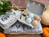 Split-Apart Egg Cartons - Securely Holds 6 or 12 Extra Large Eggs - 15 ...