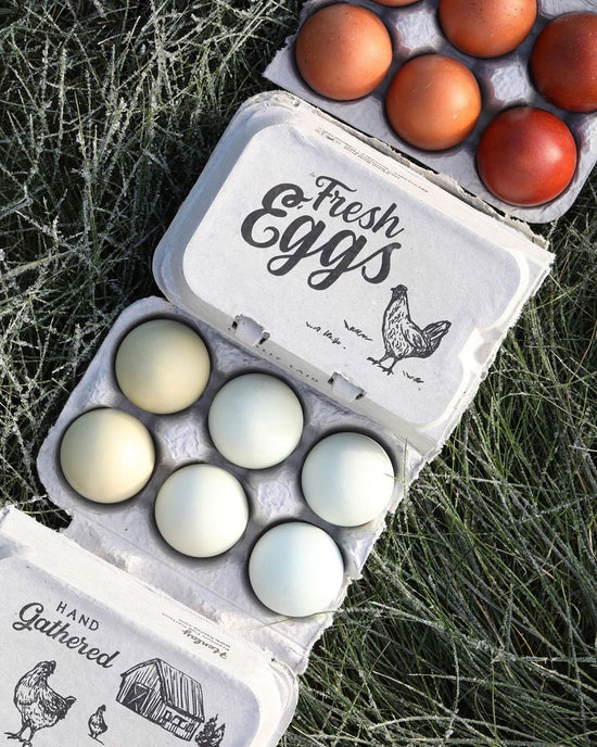Split-Apart Egg Cartons - Securely Holds 6 or 12 Extra Large Eggs - 15 ...