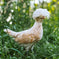 Pullet: Buff Laced Polish, Shipping Week of - My Pet Chicken