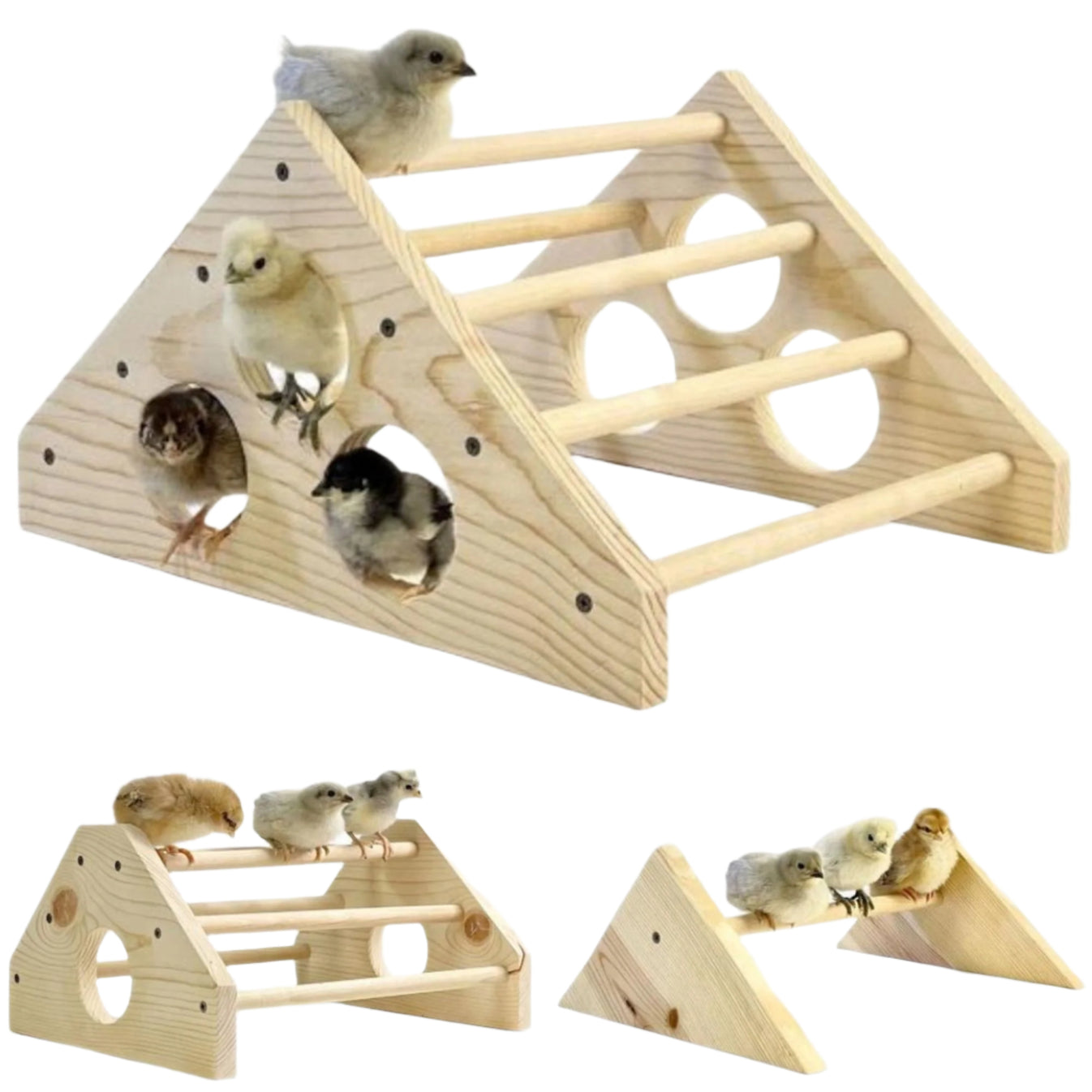 Chick Jungle Gym Kit, 3 size options - My Pet Chicken