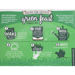 Amturf Green Feast Forage Mix, 2 LB bag - My Pet Chicken