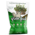 Amturf Green Feast Forage Mix, 2 LB bag - My Pet Chicken